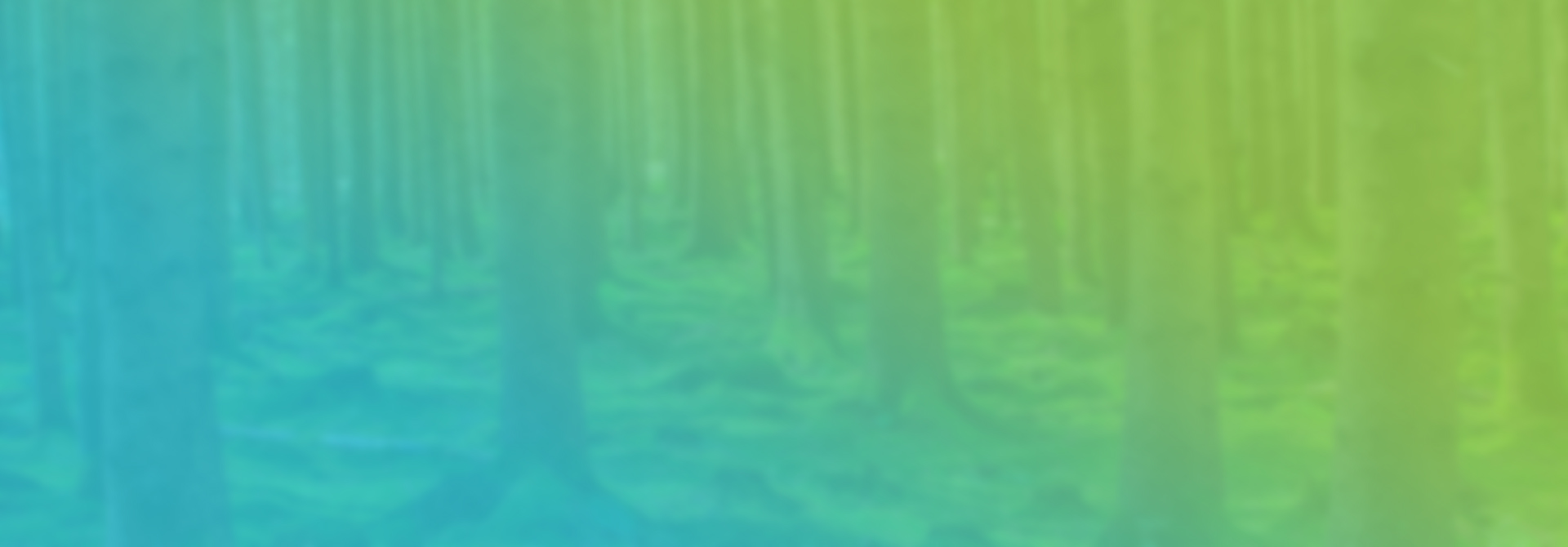 bg-blur - Prosarc SA ESP